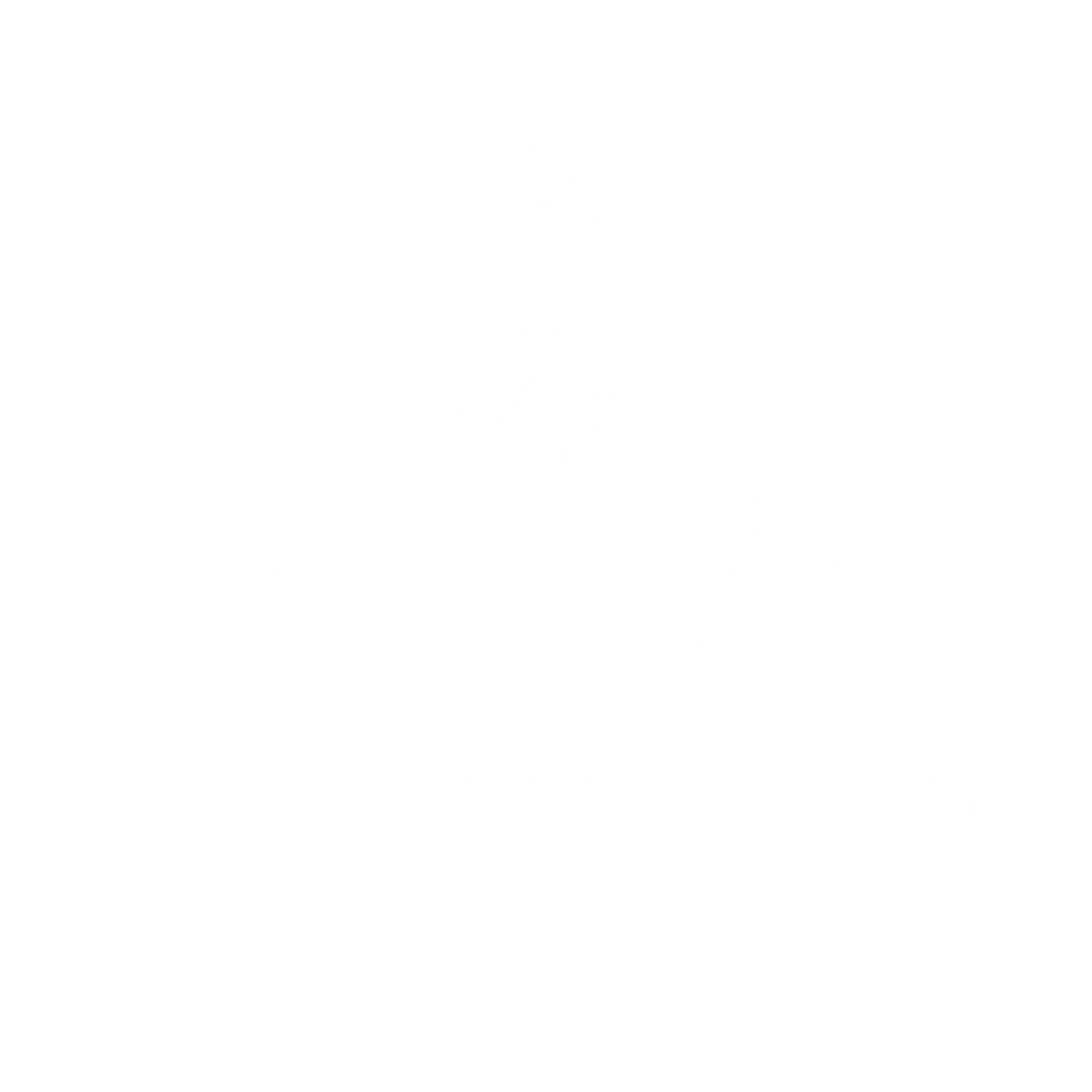 GenieClip CLA — Pliteq Inc