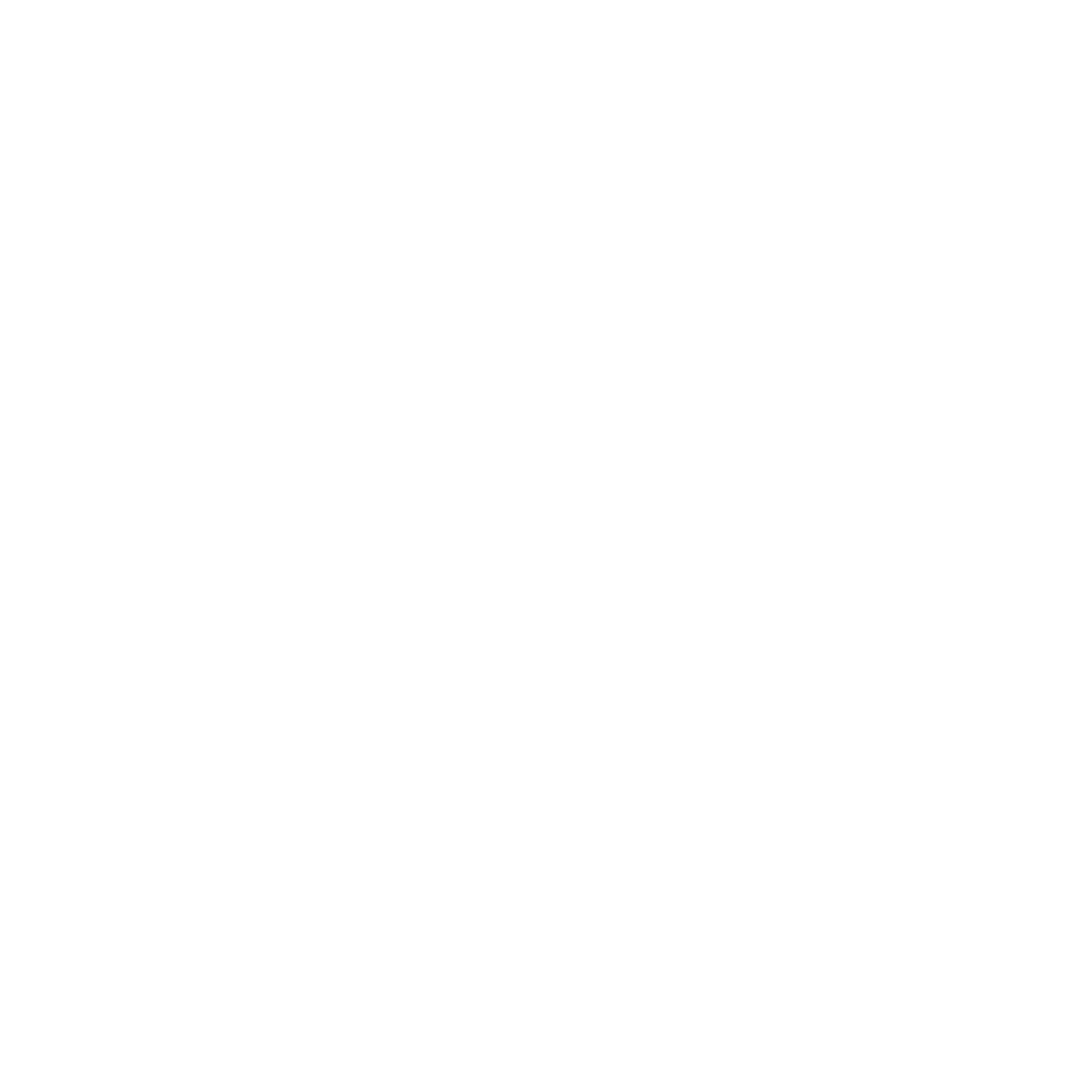 GenieClip LB — Pliteq Inc