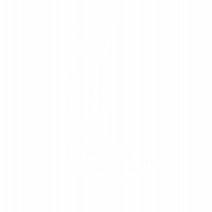 GenieClip LB — Pliteq Inc